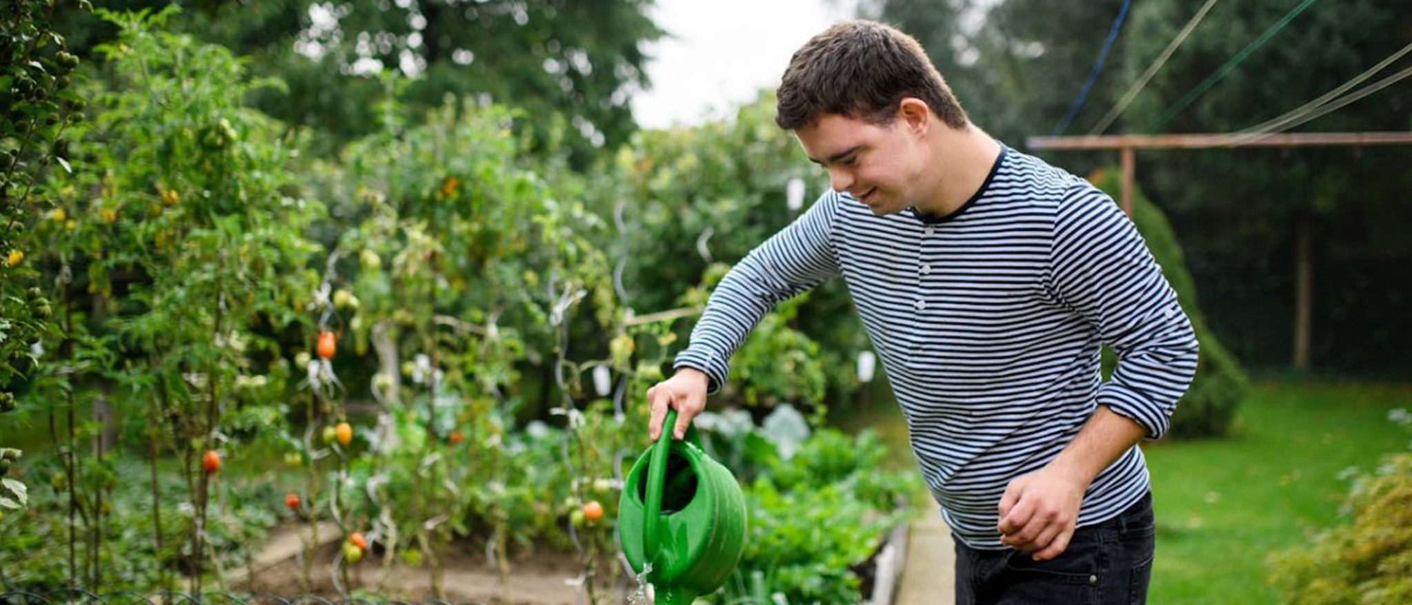 Choice and control: will NDIS reforms mean people with disability don’t ...